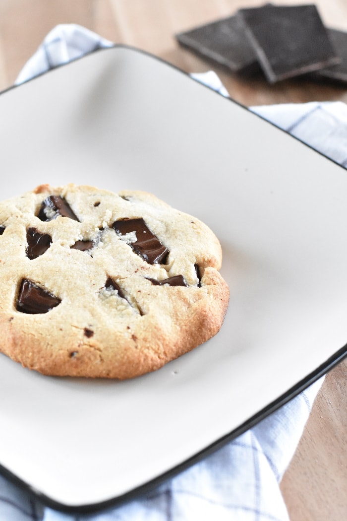 Protein Powder Cookie (Low Carb, Shakeology) - Trina Krug
