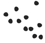 Trina Krug - Trina Krug