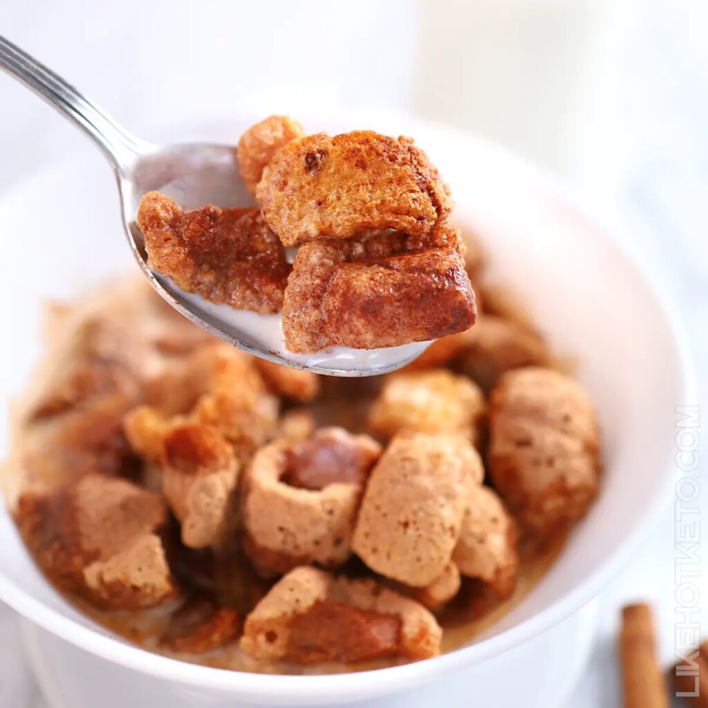 Pork Rind Recipes For Snacks, Desserts, and Savory Meals - Trina Krug