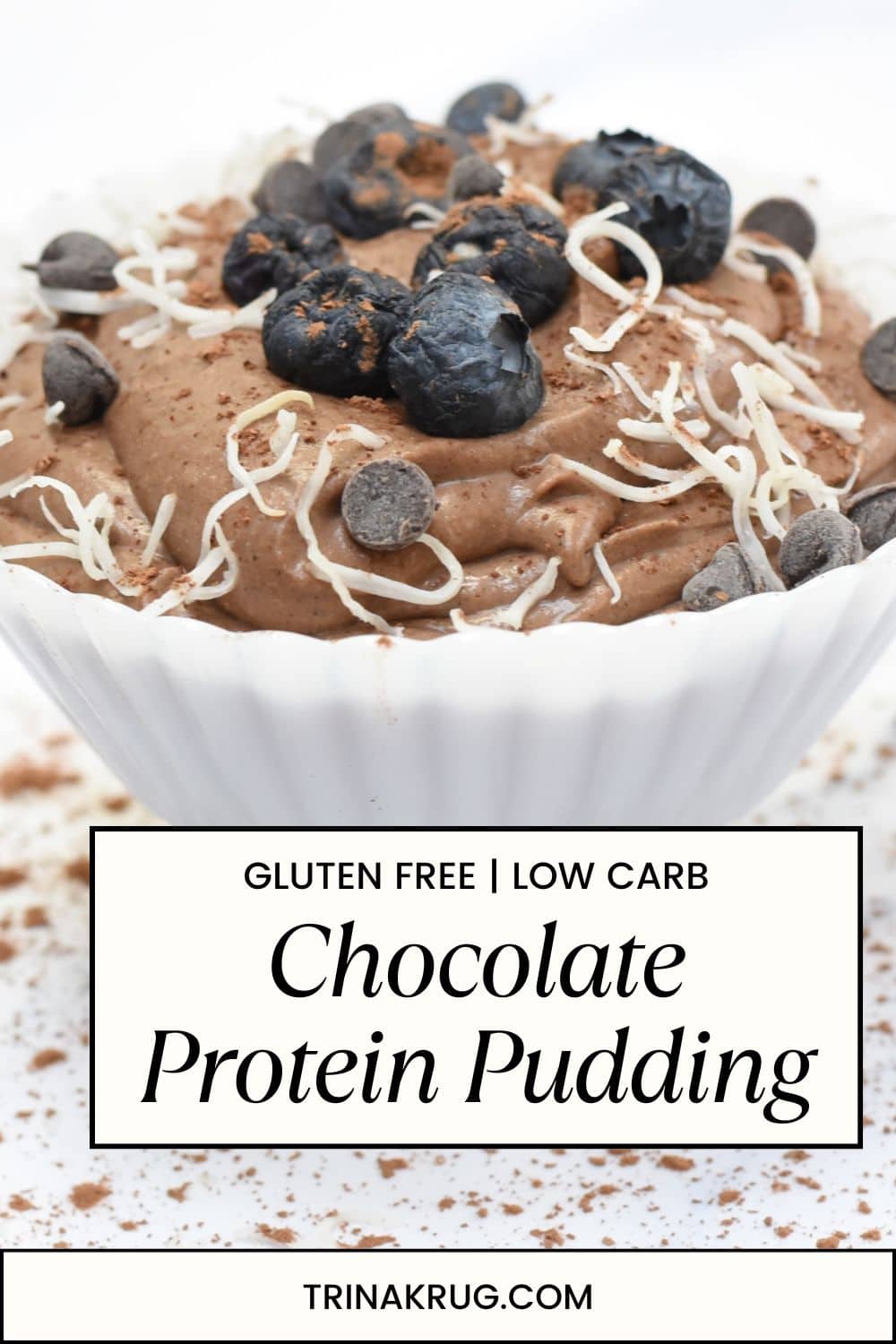 Chocolate Protein Pudding - Trina Krug