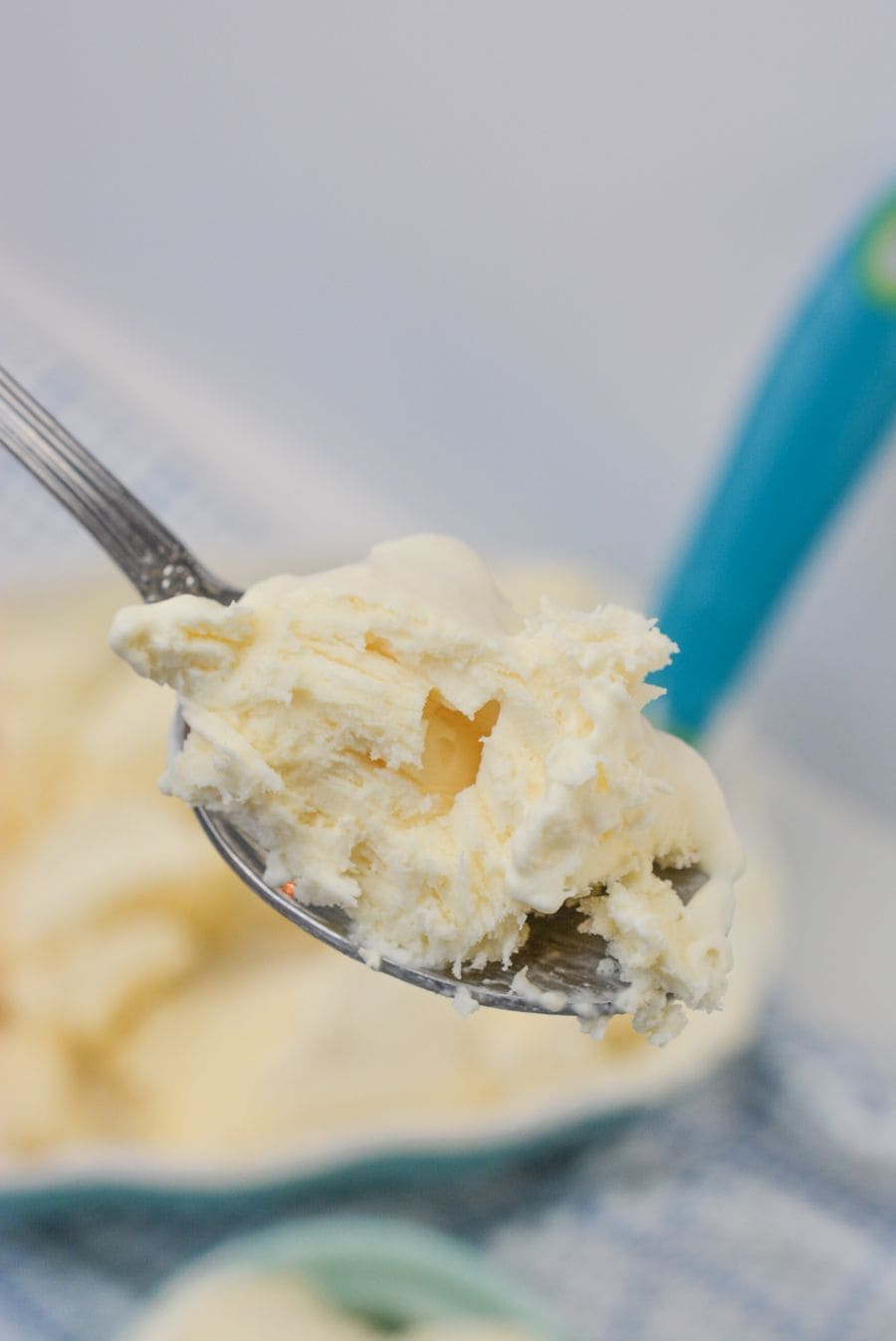 Carnivore Ice Cream - Trina Krug